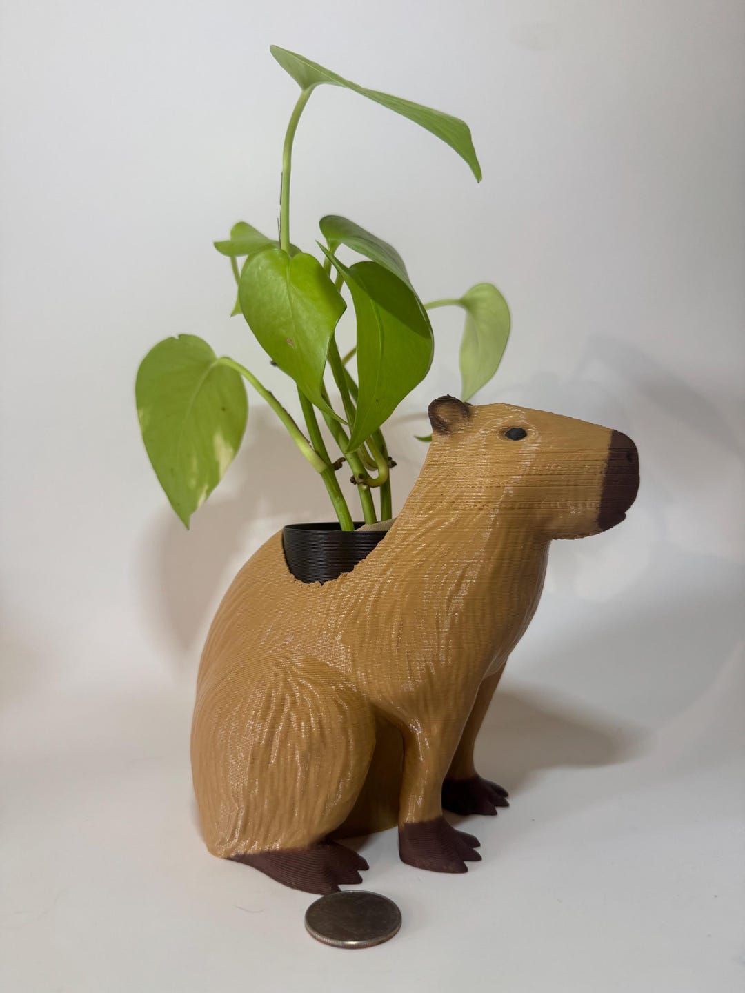 Capybara Planter Gift Hand Painted Parts - Etsy