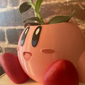 Kirby Planter Gift - Etsy