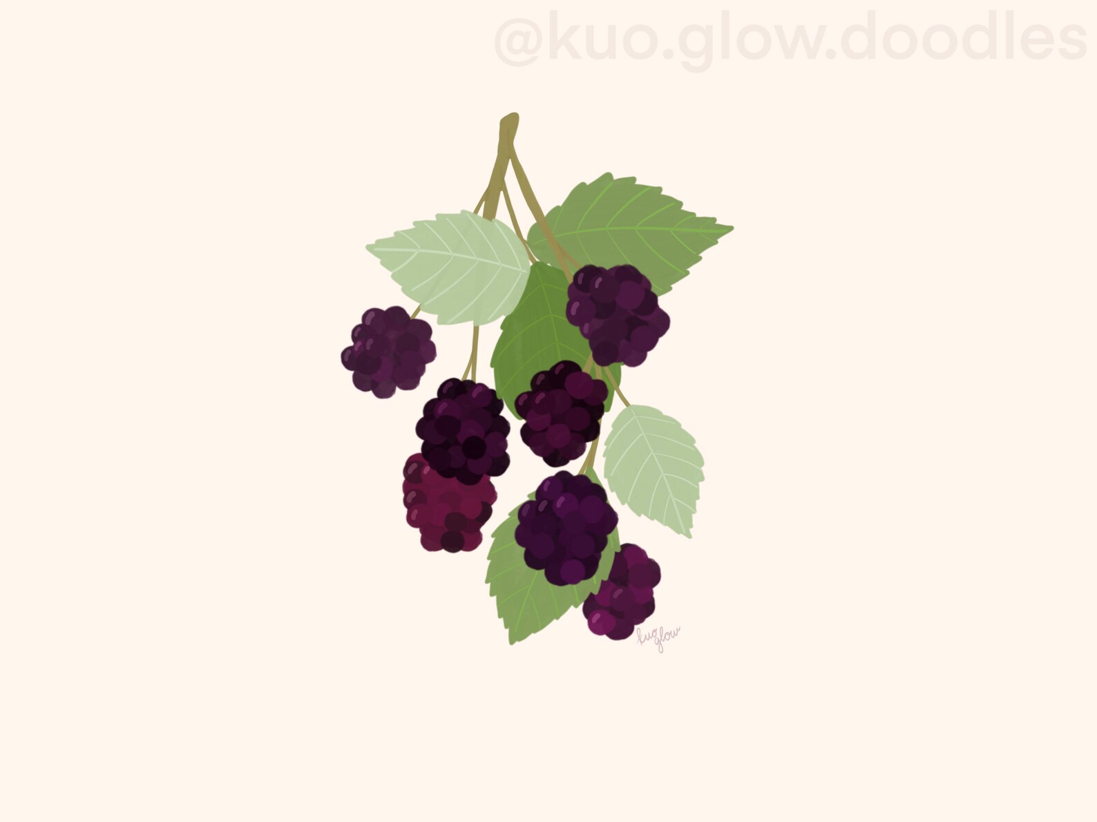 Blackberry - Downloadable Wall Art - Etsy