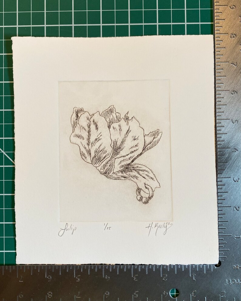 Tulip - Original Engraving - Fine Art - Etsy