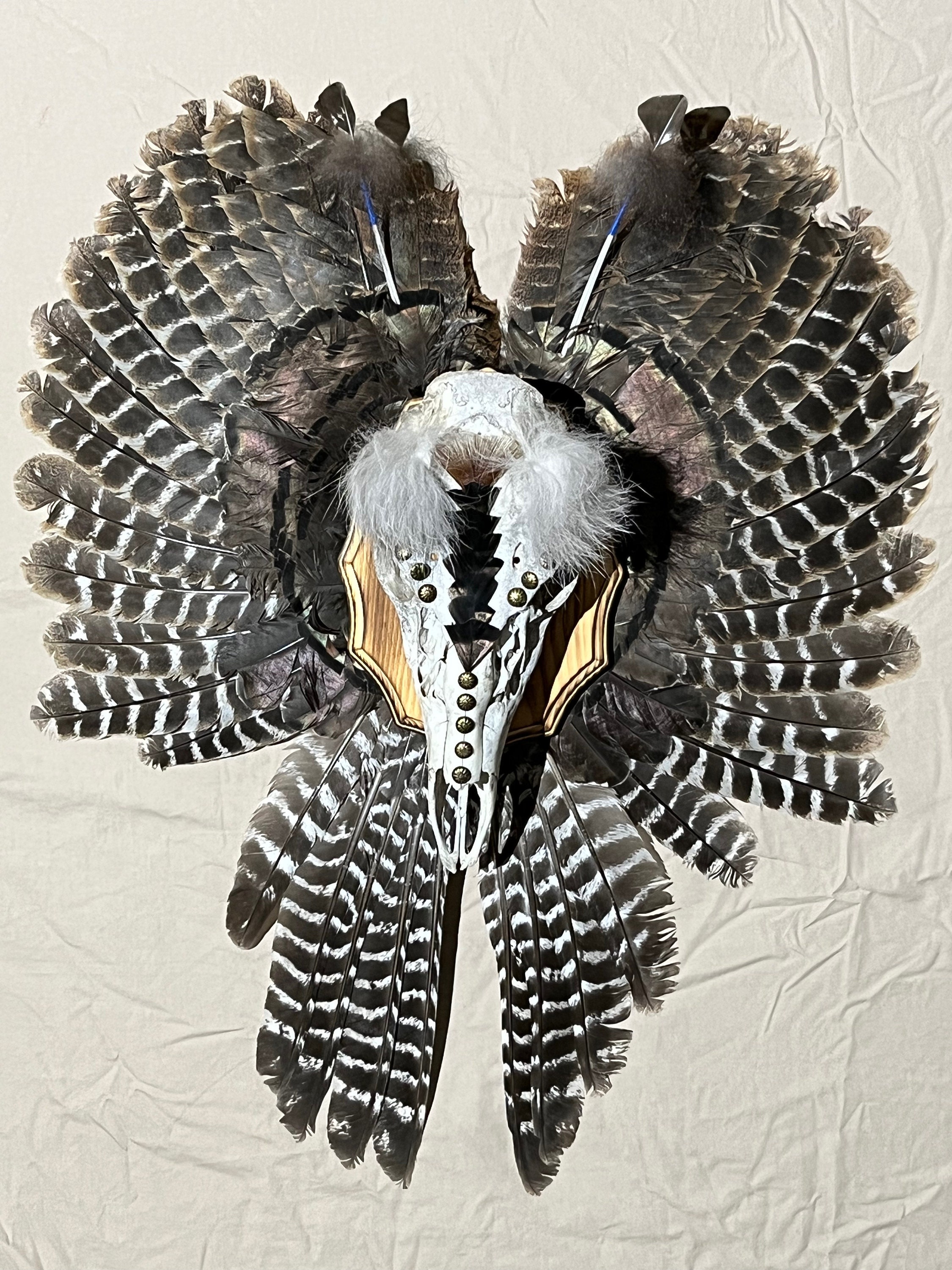 Modern Native American Turkey Feather Wall Art - Etsy
