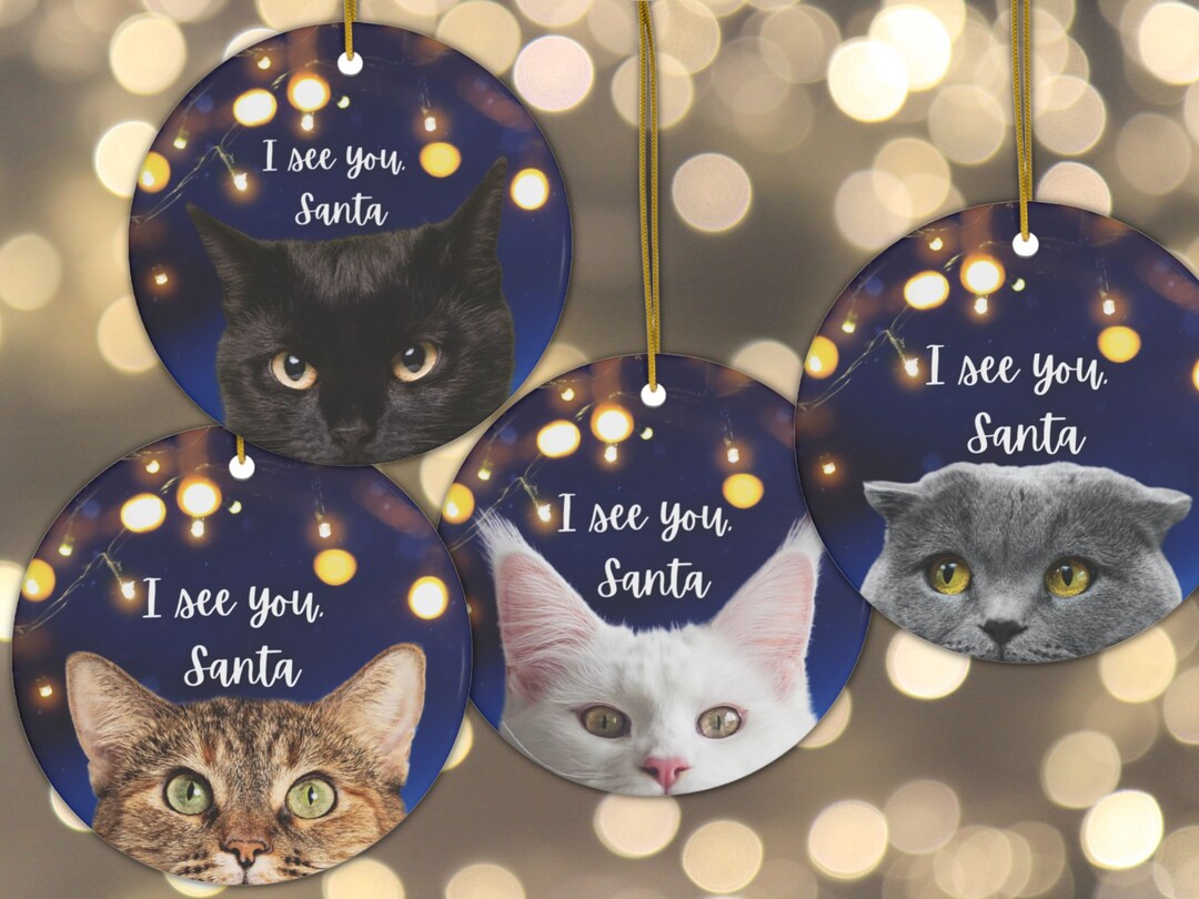 Cat Ornament - Pet Gift Tag - Cat Christmas Decor - Cat Lover Pet ...