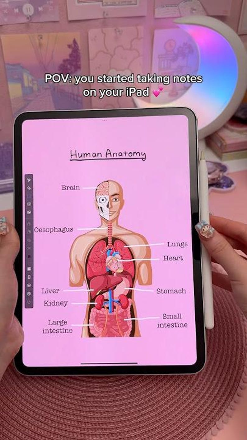 Anatomy & Physiology 200+ Stickers Digital Stickers Goodnotes Sticker ...