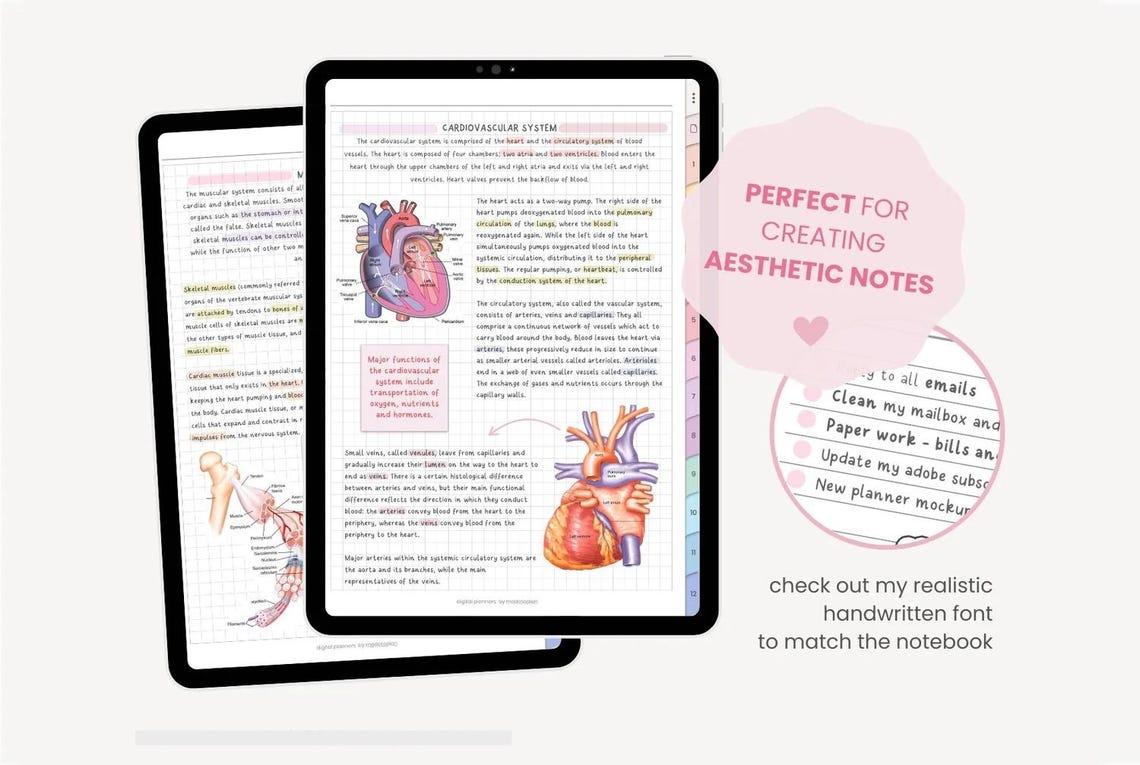 Anatomy & Physiology 200+ Stickers Digital Stickers Goodnotes Sticker ...