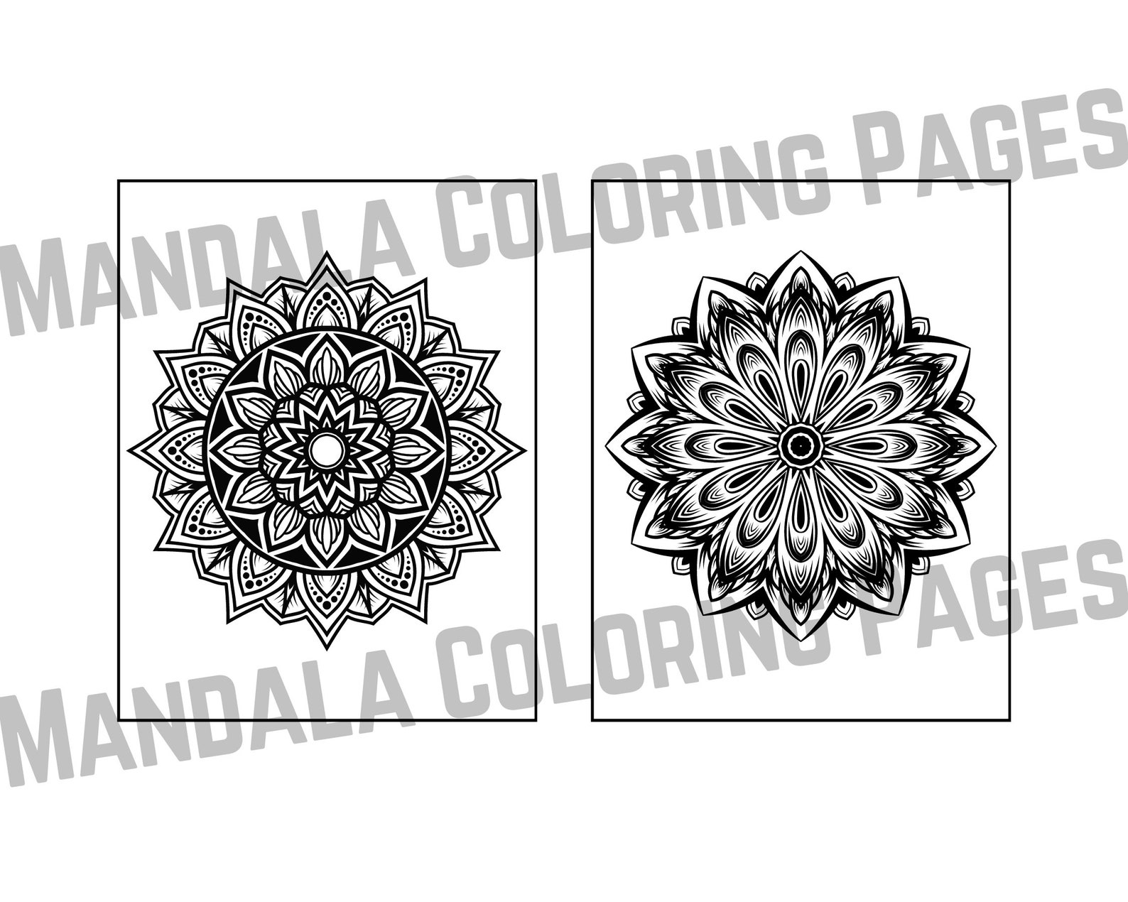 Mandala Coloring Pages | Adult Coloring Book | 30 Digital Coloring ...