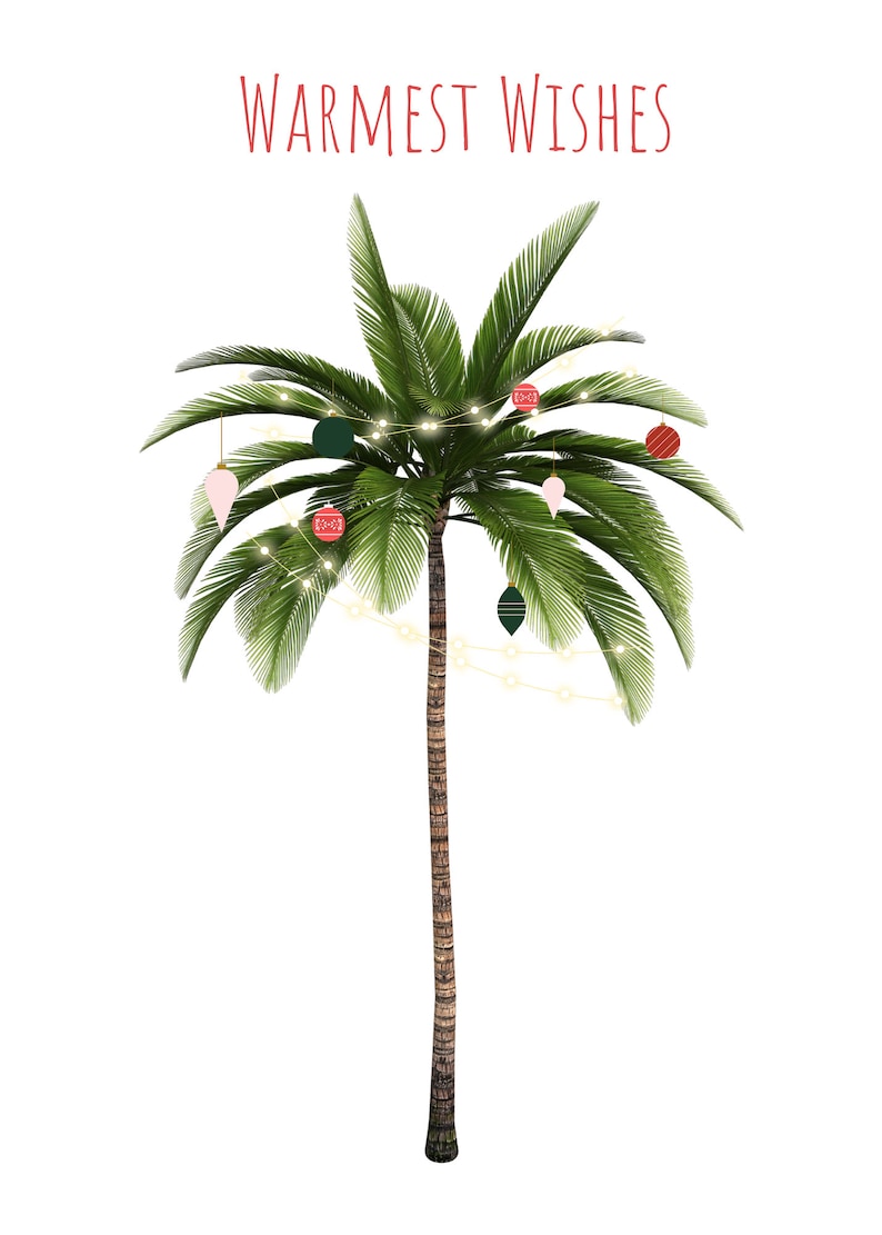 Tropical Christmas Cards, Personalized Christmas Cards, Palm Tree ...