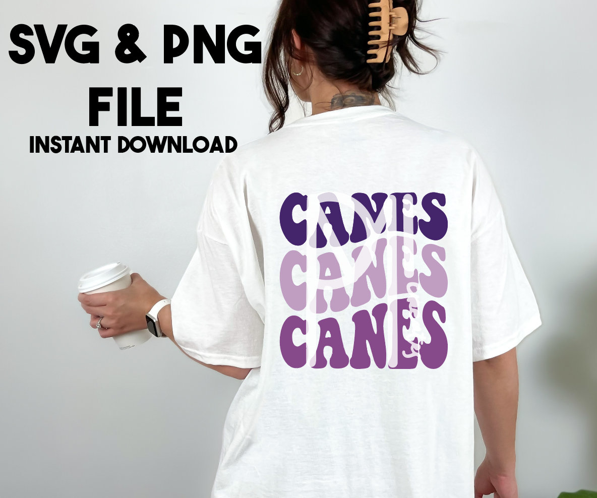 Canes Retro Design, Hurricanes Design, Canes Shirt, Canes Svg - Etsy