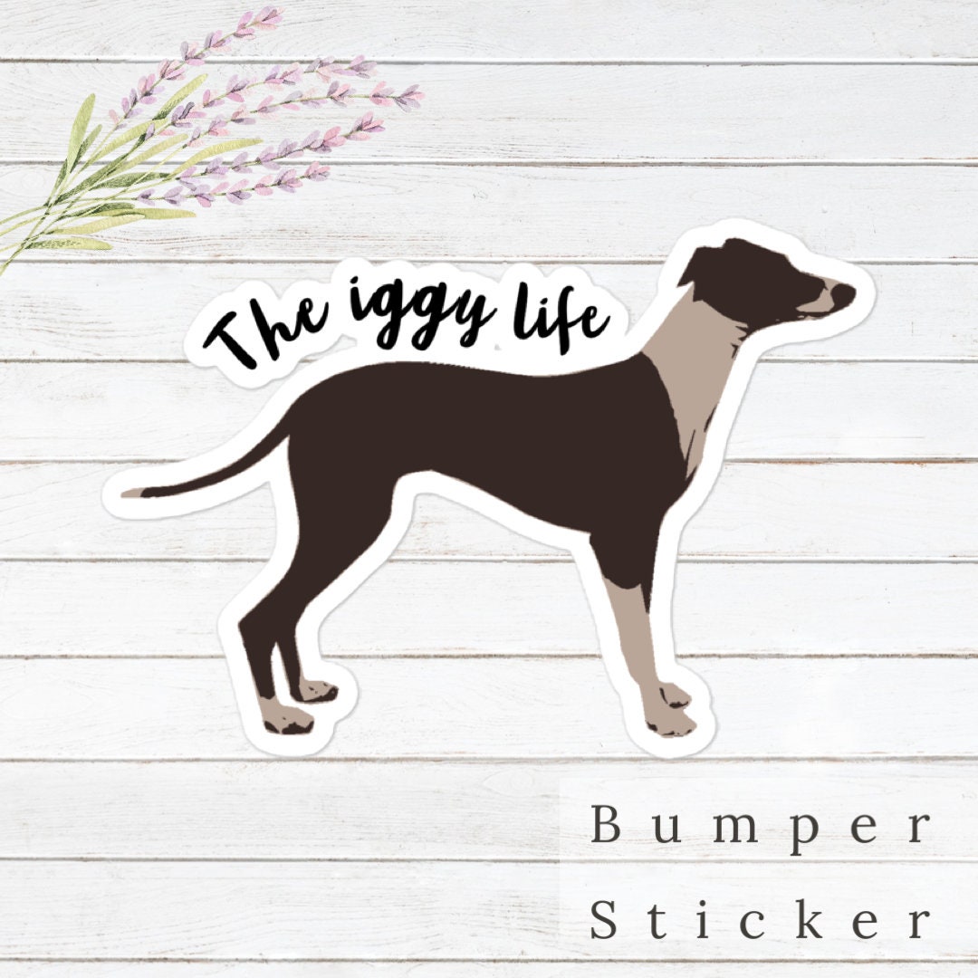 The Iggy Life Sticker - Etsy