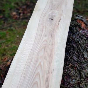 Live Edge White Ash Slab - Etsy