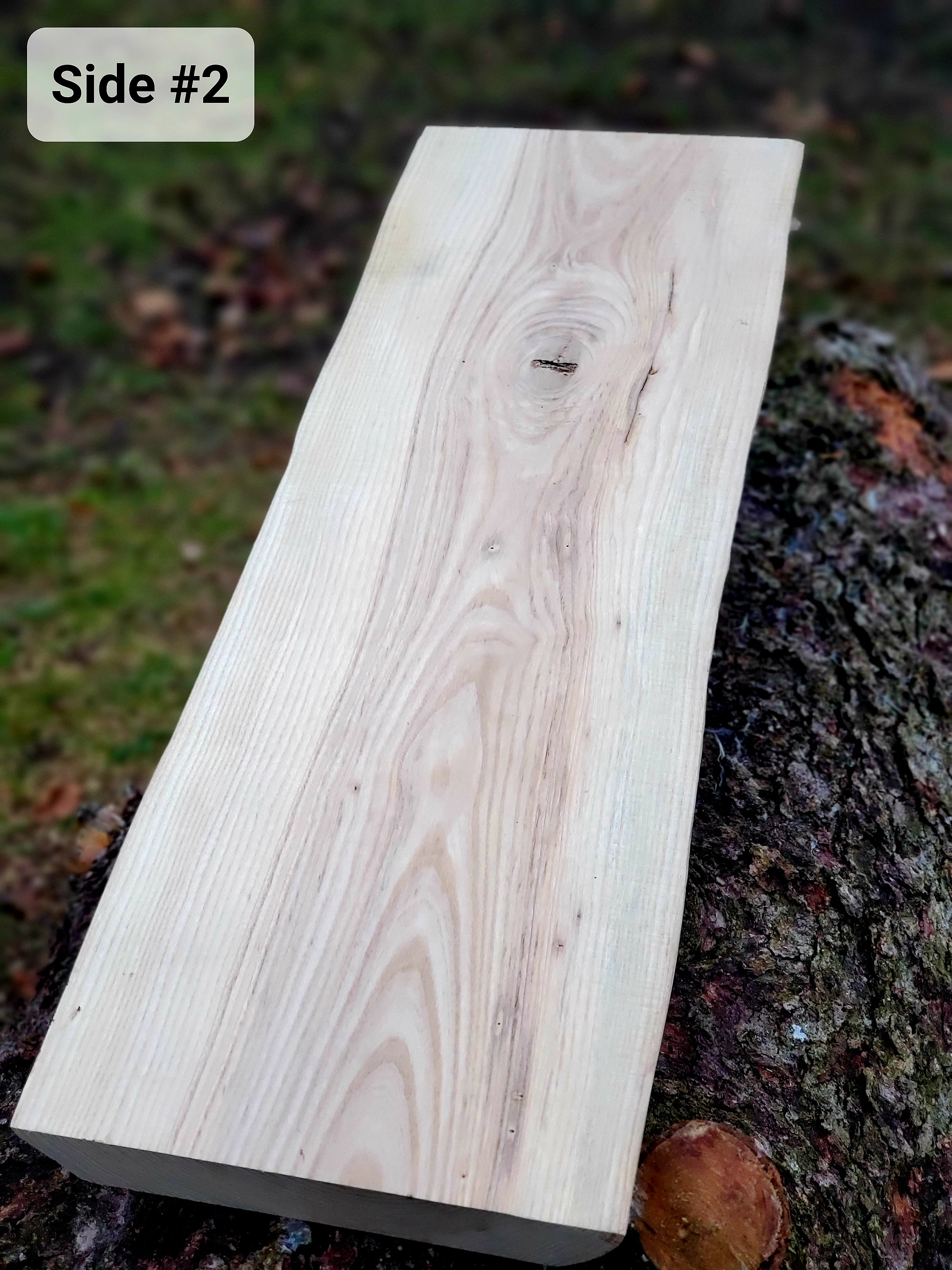 Live Edge White Ash Slab - Etsy