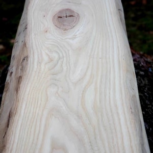 Live Edge White Ash Slab - Etsy