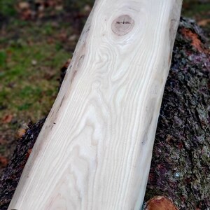 Live Edge White Ash Slab - Etsy