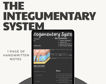 Digital Four Types of Tissues Notes Anatomy & Physiology Premed Prepa ...