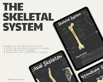 Digital Integumentary System Notes | Anatomy & Physiology| Premed ...