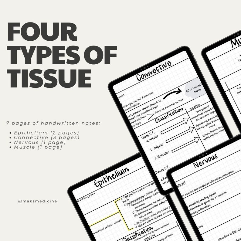 Digital Four Types of Tissues Notes | Anatomy & Physiology| Premed ...