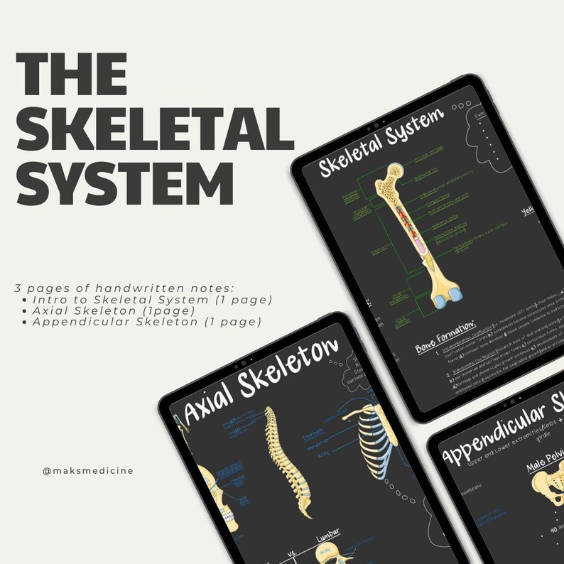 Digital Skeletal System Notes | Anatomy| Physiology | Premed| Prepa ...
