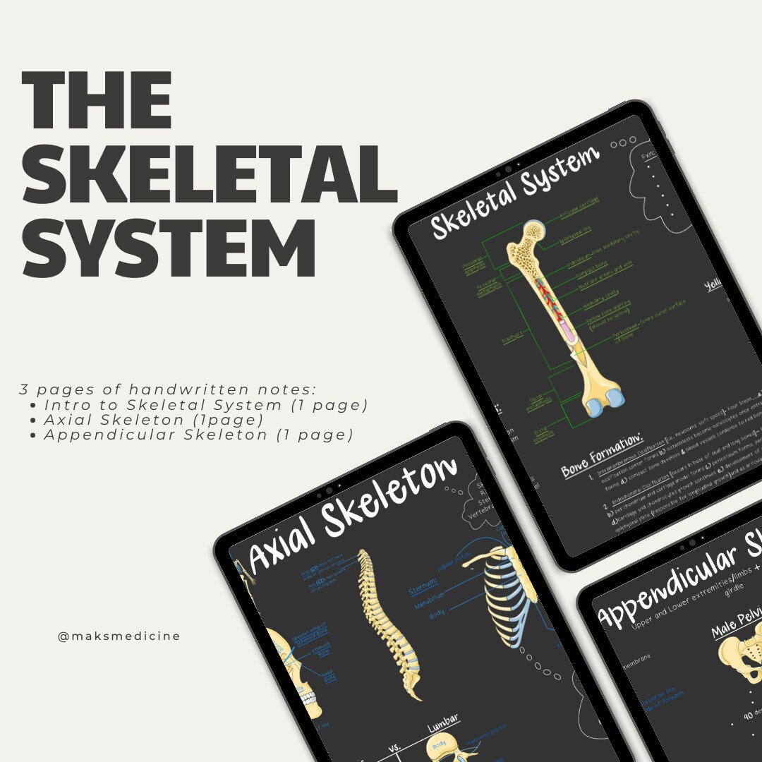 Digital Skeletal System Notes | Anatomy| Physiology | Premed| Prepa ...