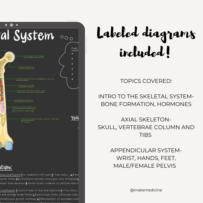 Digital Skeletal System Notes | Anatomy| Physiology | Premed| Prepa ...