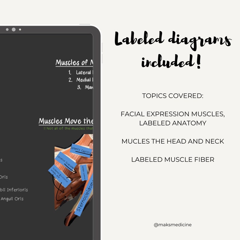 The Skeletal Muscle Tissue Notes | Anatomy and Physiology | Digital ...