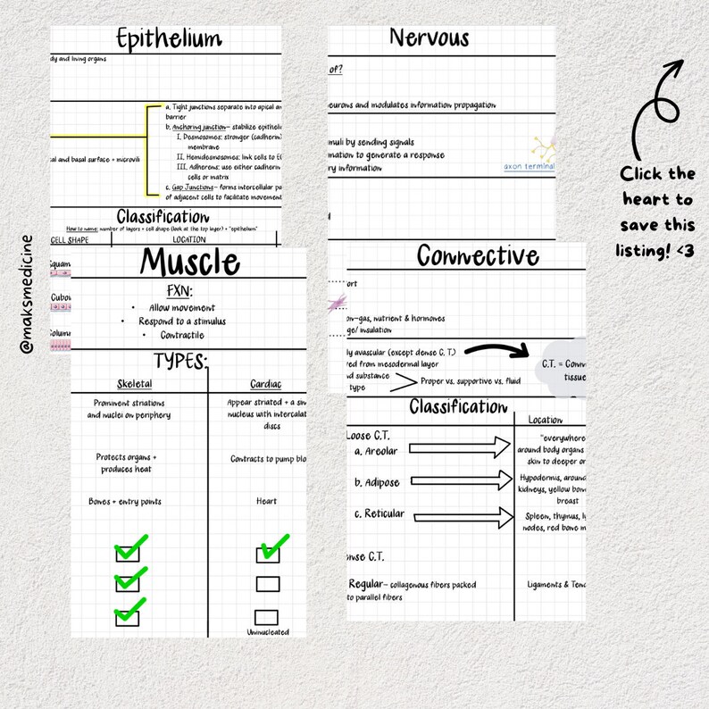 Digital Four Types of Tissues Notes | Anatomy & Physiology| Premed ...