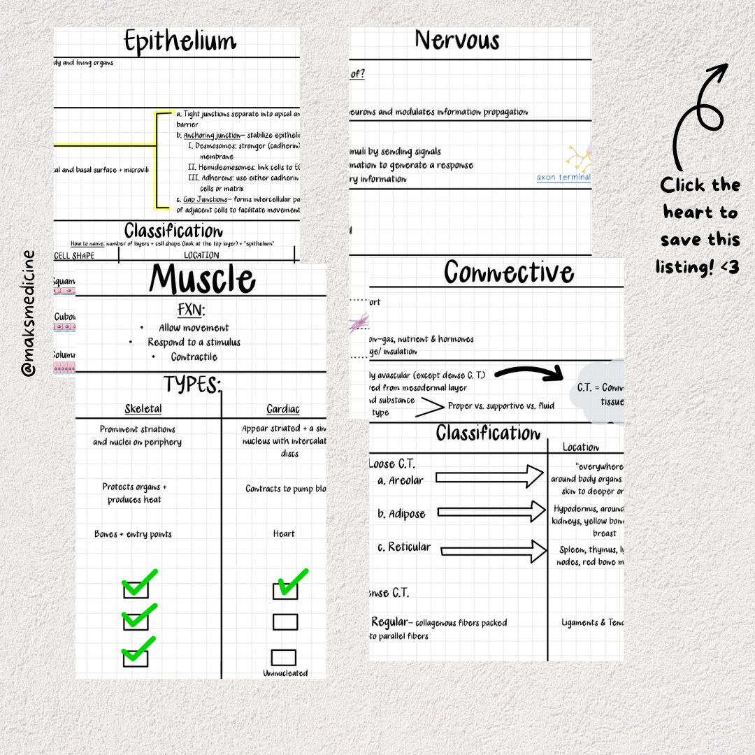 Digital Four Types of Tissues Notes | Anatomy & Physiology| Premed ...