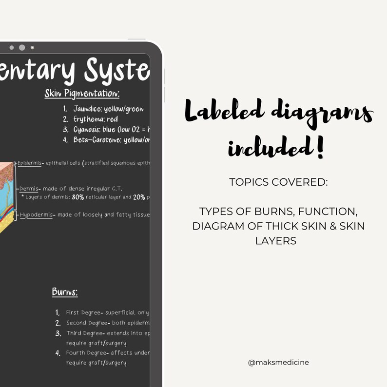 Digital Integumentary System Notes | Anatomy & Physiology| Premed ...
