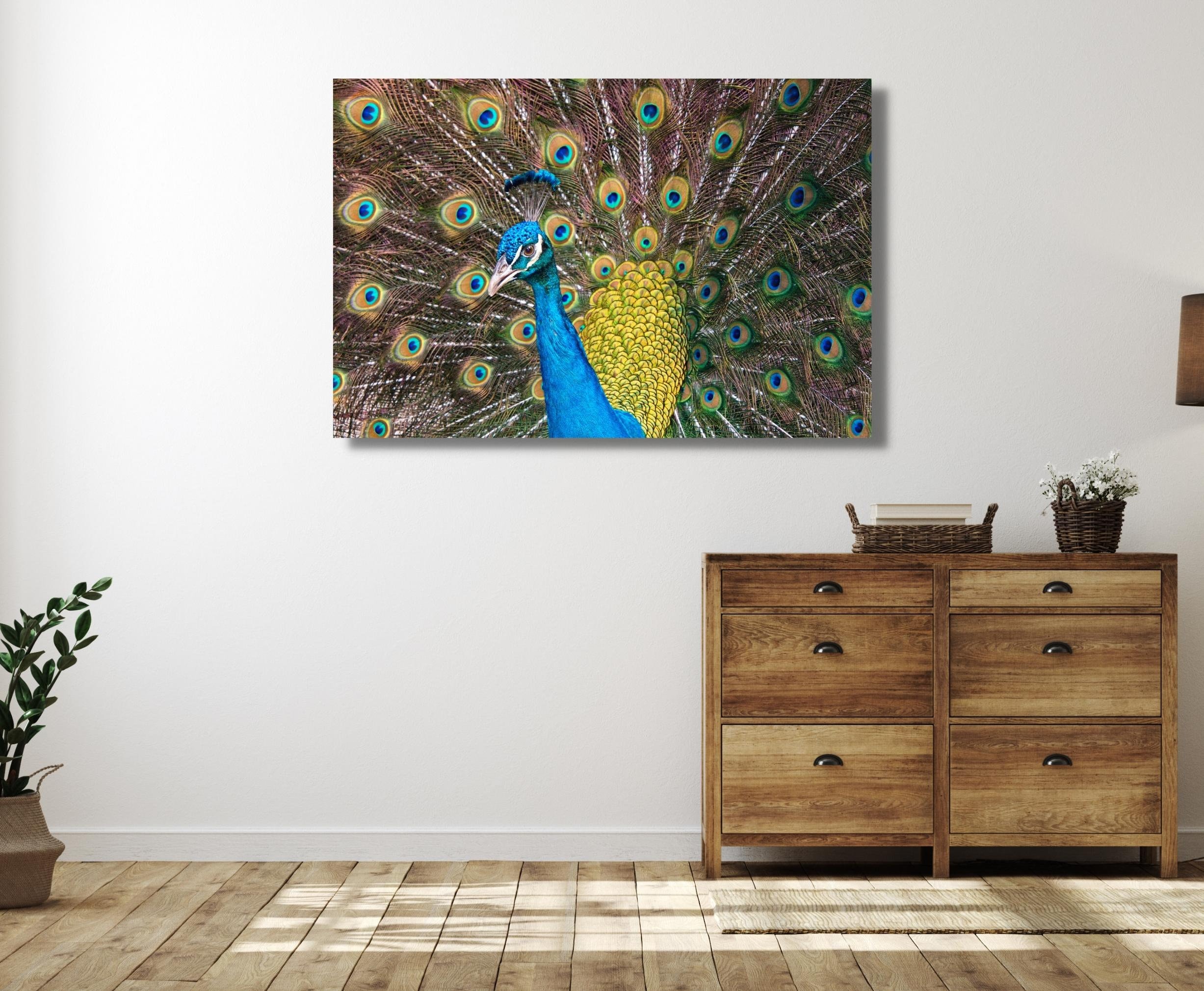 Colorful Peacock. Wall Art, Decor, Photo Print, Poster, Animals ...