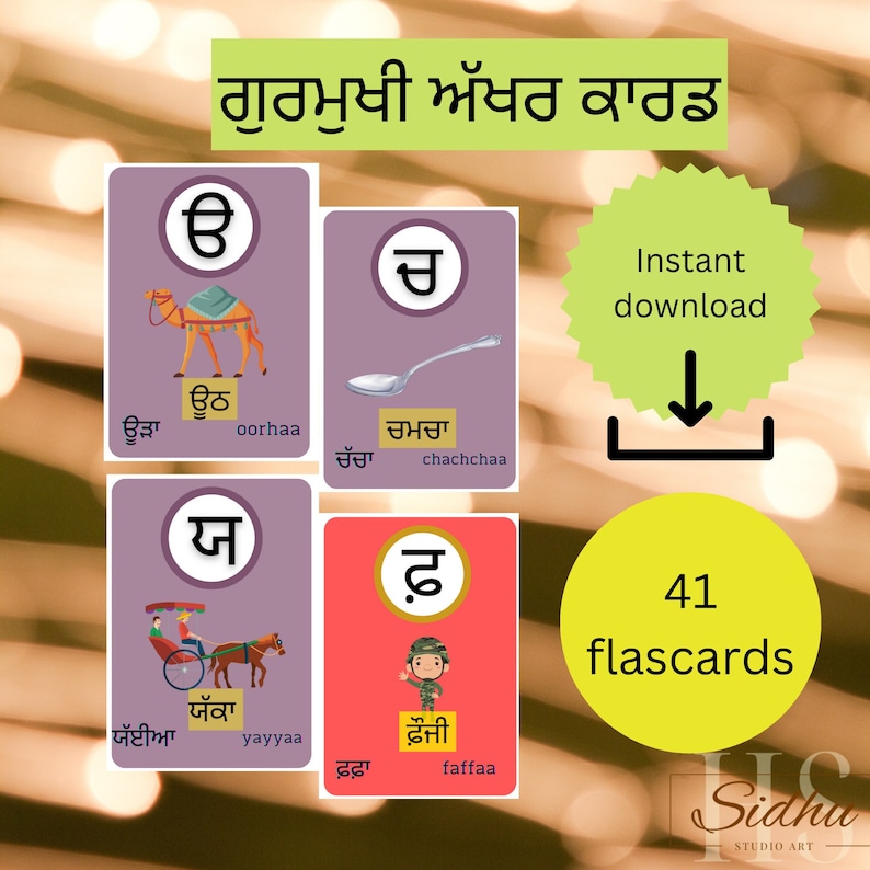 Punjabi Alphabet Flashcards, Bilingual Learning (digital Download) - Etsy