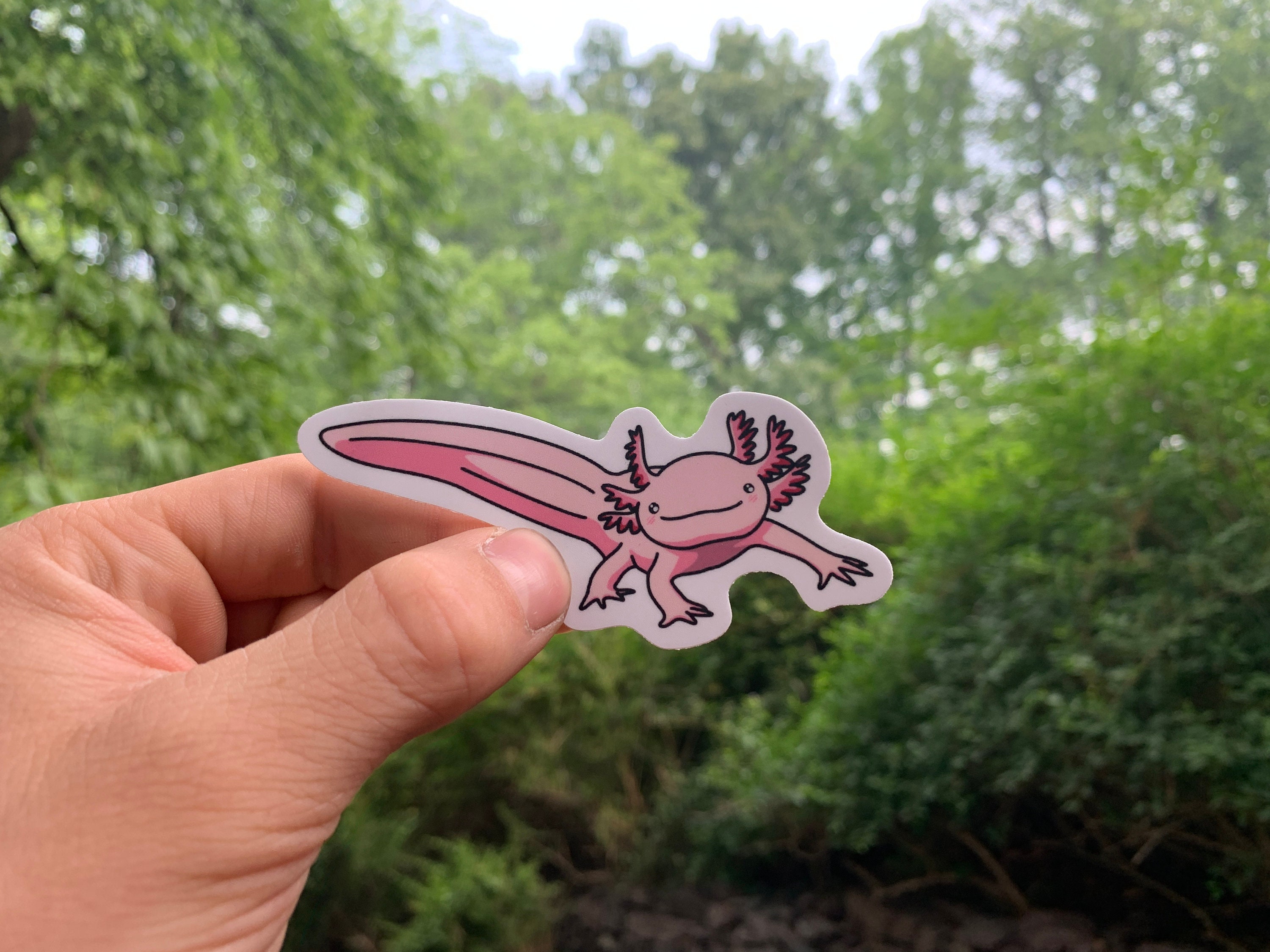 Adorable Axolotl Sticker Axolotl Stickers Waterproof, Vinyl and ...