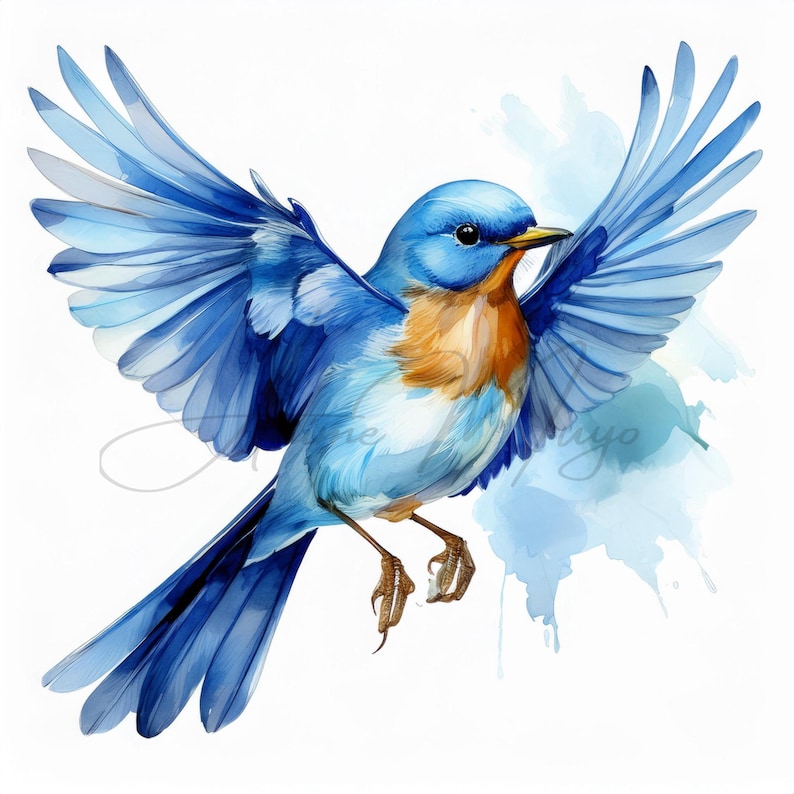 10 Watercolor Blue Robin, Digital Clipart Bundle , Printable Art, Jpg ...
