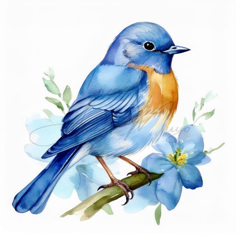 10 Watercolor Blue Robin, Digital Clipart Bundle , Printable Art, Jpg ...