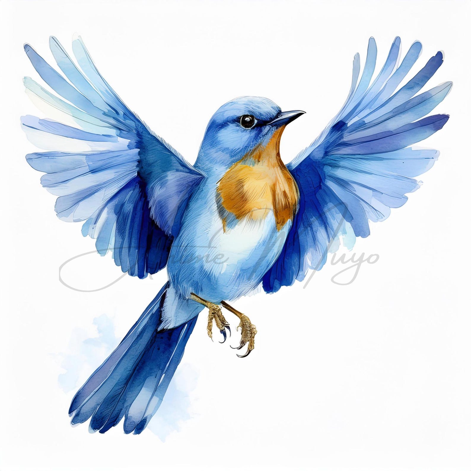 10 Watercolor Blue Robin, Digital Clipart Bundle , Printable Art, Jpg ...