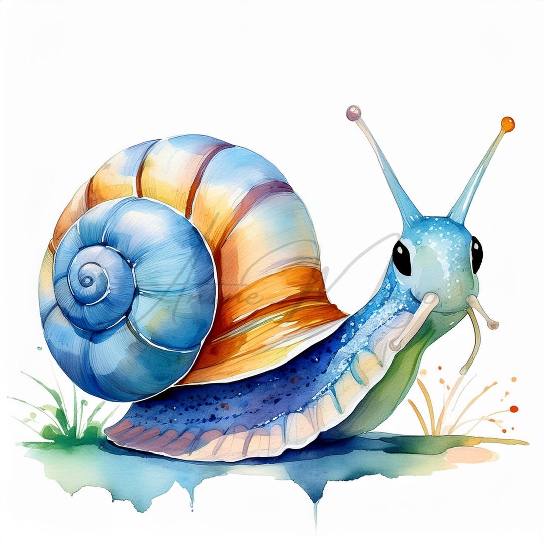 10 Majestic Snail Clipart High Quality Jpgs Digital Downloads ...