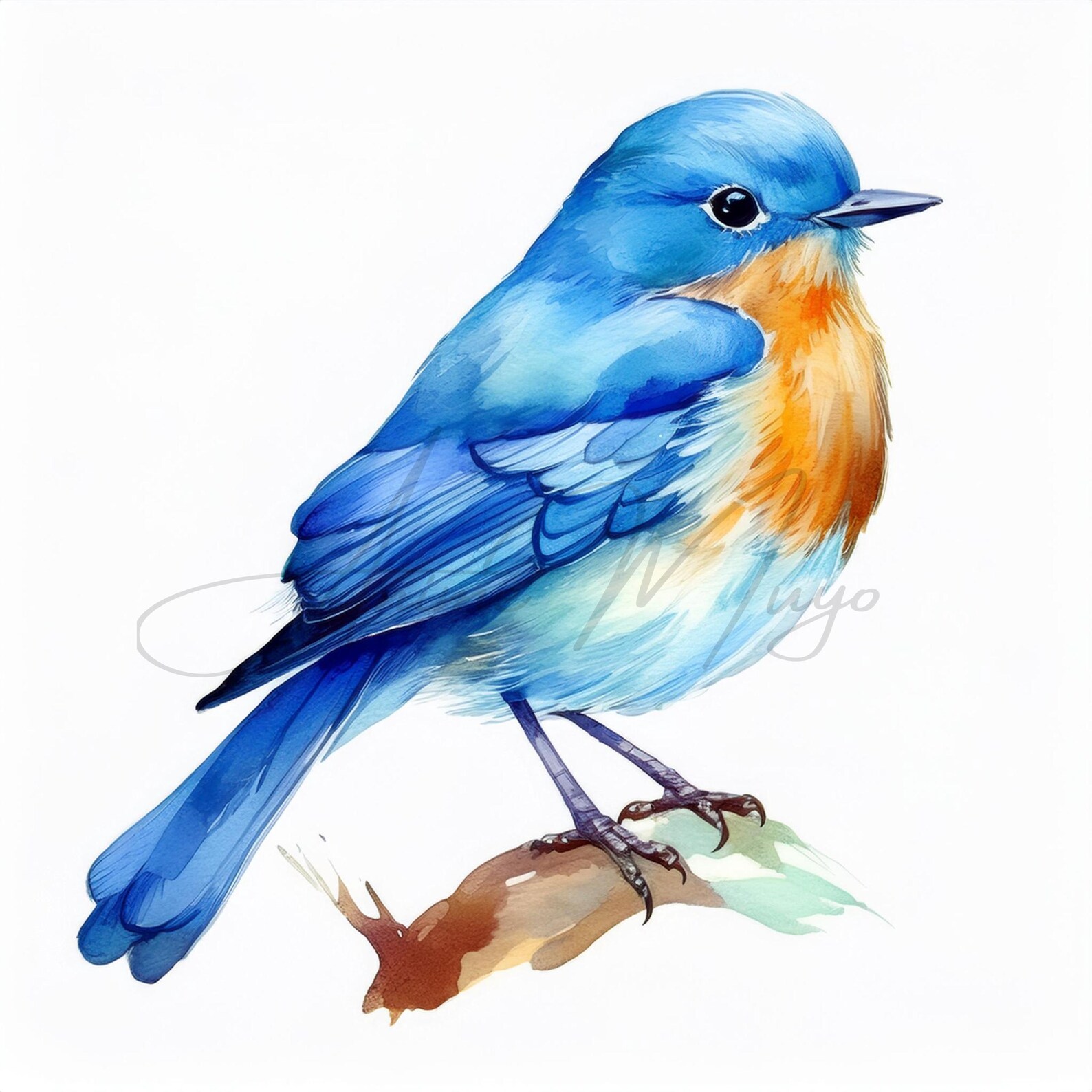 10 Watercolor Blue Robin, Digital Clipart Bundle , Printable Art, Jpg ...