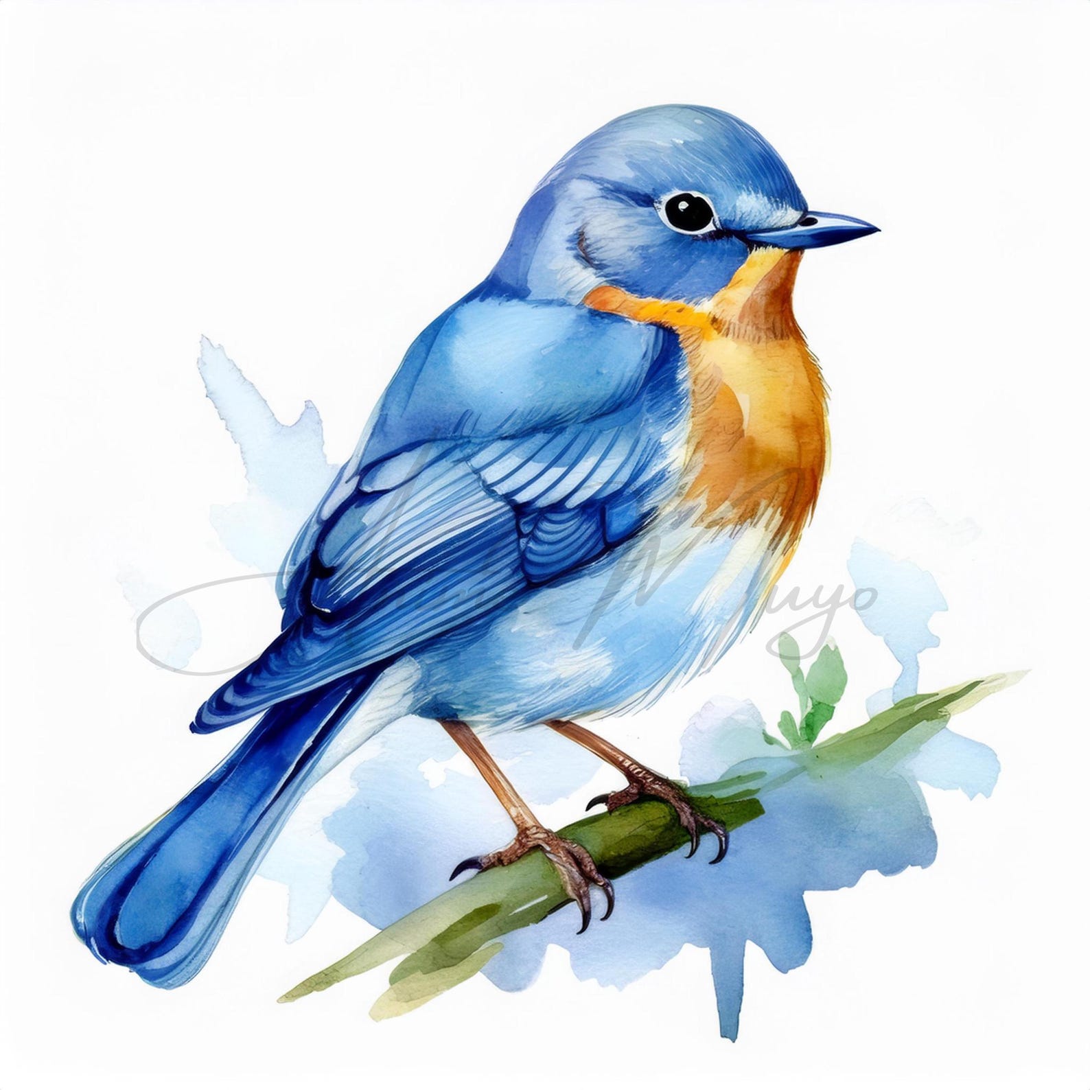 10 Watercolor Blue Robin, Digital Clipart Bundle , Printable Art, Jpg ...