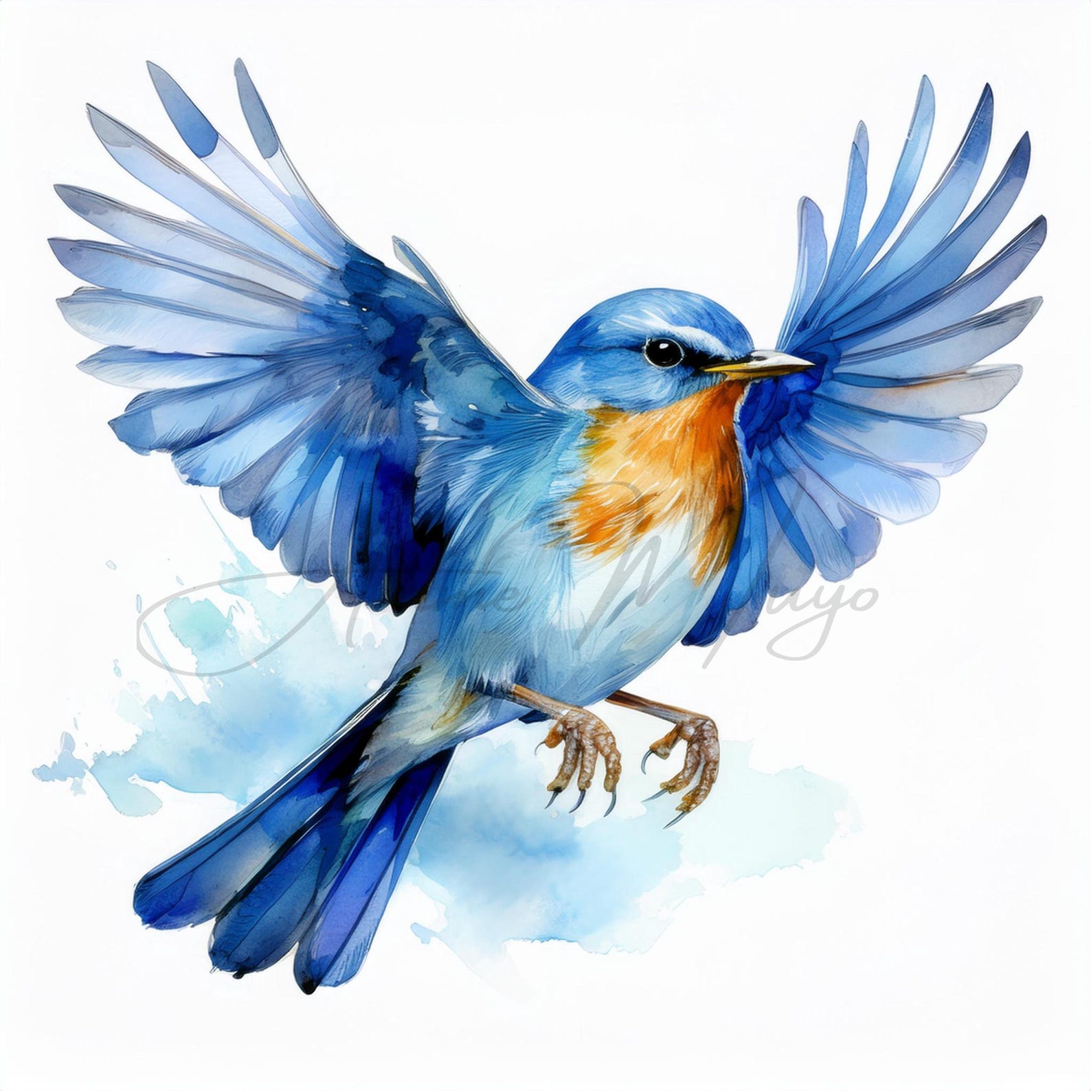 10 Watercolor Blue Robin, Digital Clipart Bundle , Printable Art, Jpg ...