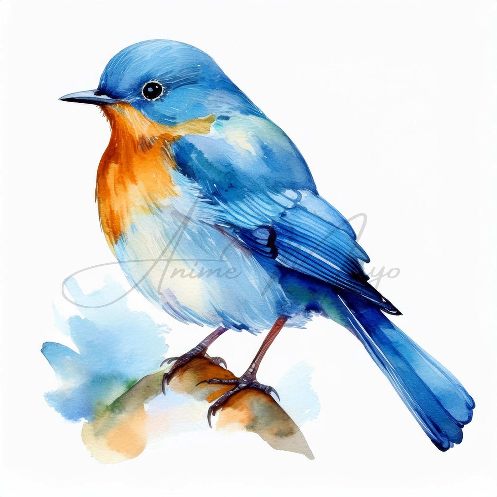 10 Watercolor Blue Robin, Digital Clipart Bundle , Printable Art, Jpg ...