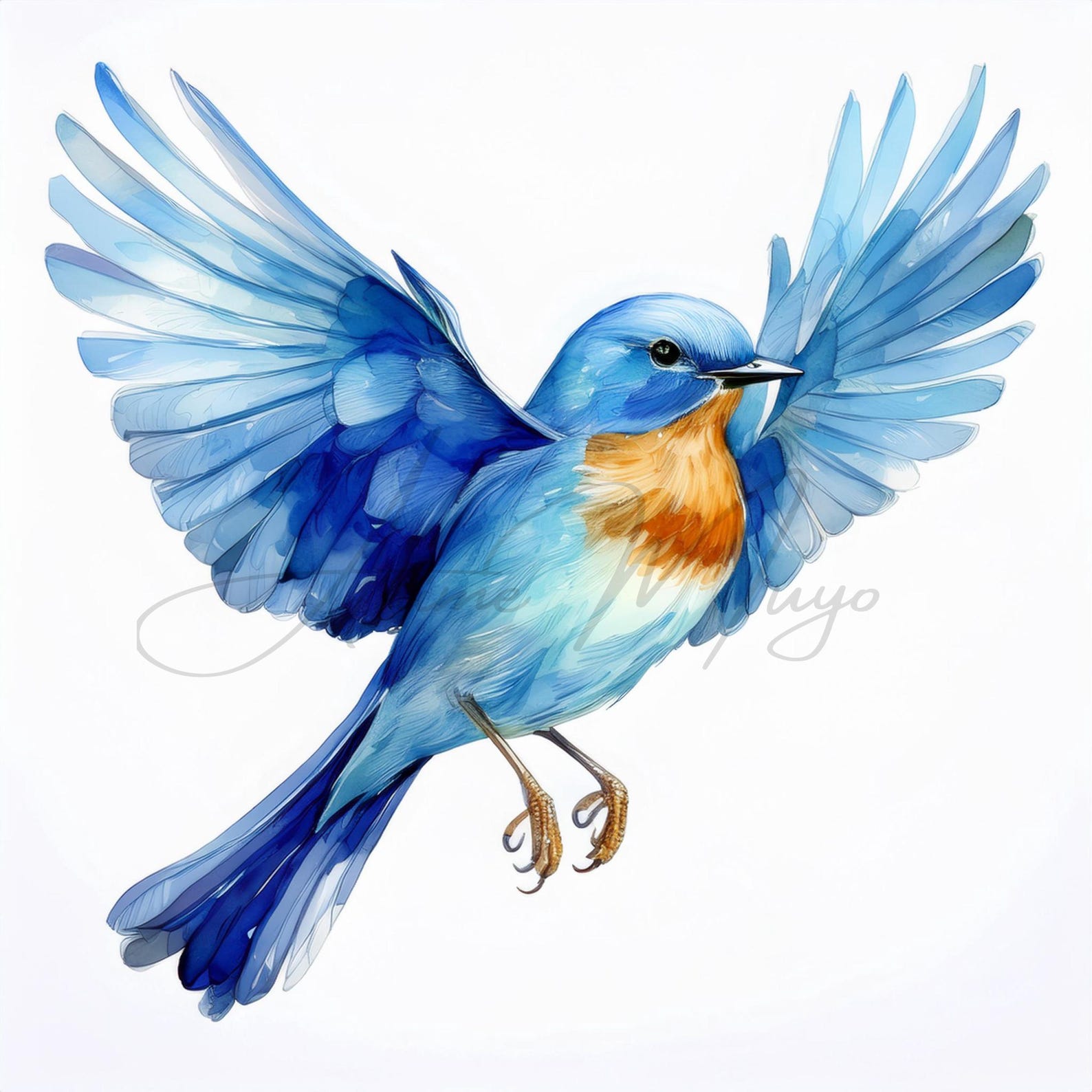 10 Watercolor Blue Robin, Digital Clipart Bundle , Printable Art, Jpg ...
