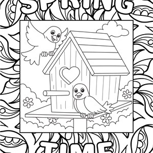 Springtime Birds Printable Coloring Page - Etsy