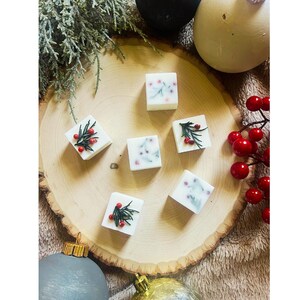 Fraser Fir Wax Melts With Green and Red Berry ｜botanical Wax Tart ｜100% ...