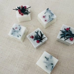 Fraser Fir Wax Melts With Green and Red Berry botanical Wax Tart 100% ...