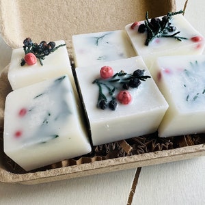 Fraser Fir Wax Melts With Green and Red Berry botanical Wax Tart 100% ...