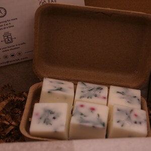 Fraser Fir Wax Melts With Green and Red Berry botanical Wax Tart 100% ...