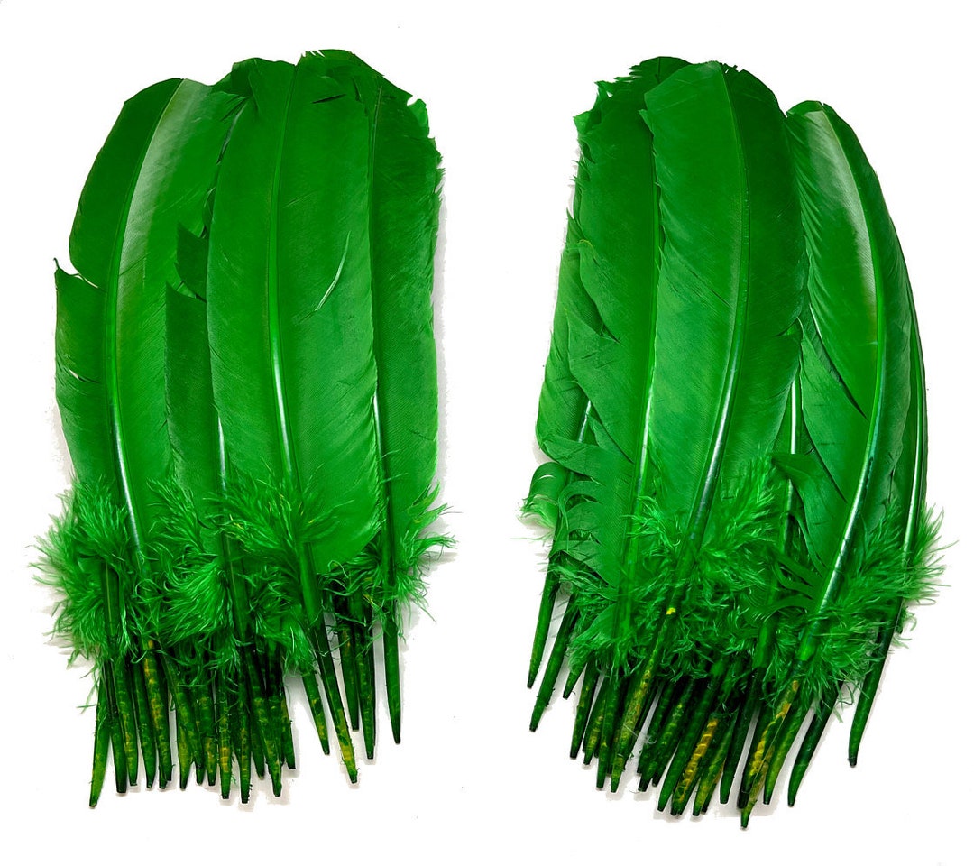 10-12” Custom Color Packs of Turkey Wing Feathers (rounds) - 4 Pack (48 ...