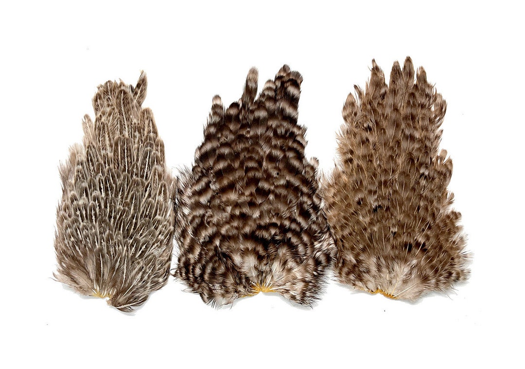 Indian Hen Backs 3 Pack - Badger, Cree, & Grizzly - Etsy