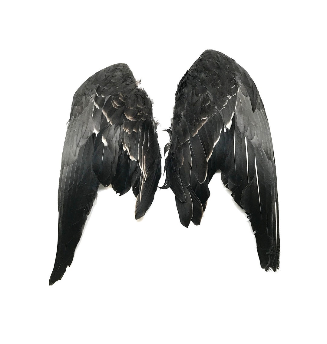 Complete Grey Goose Wings - per Pair - Etsy