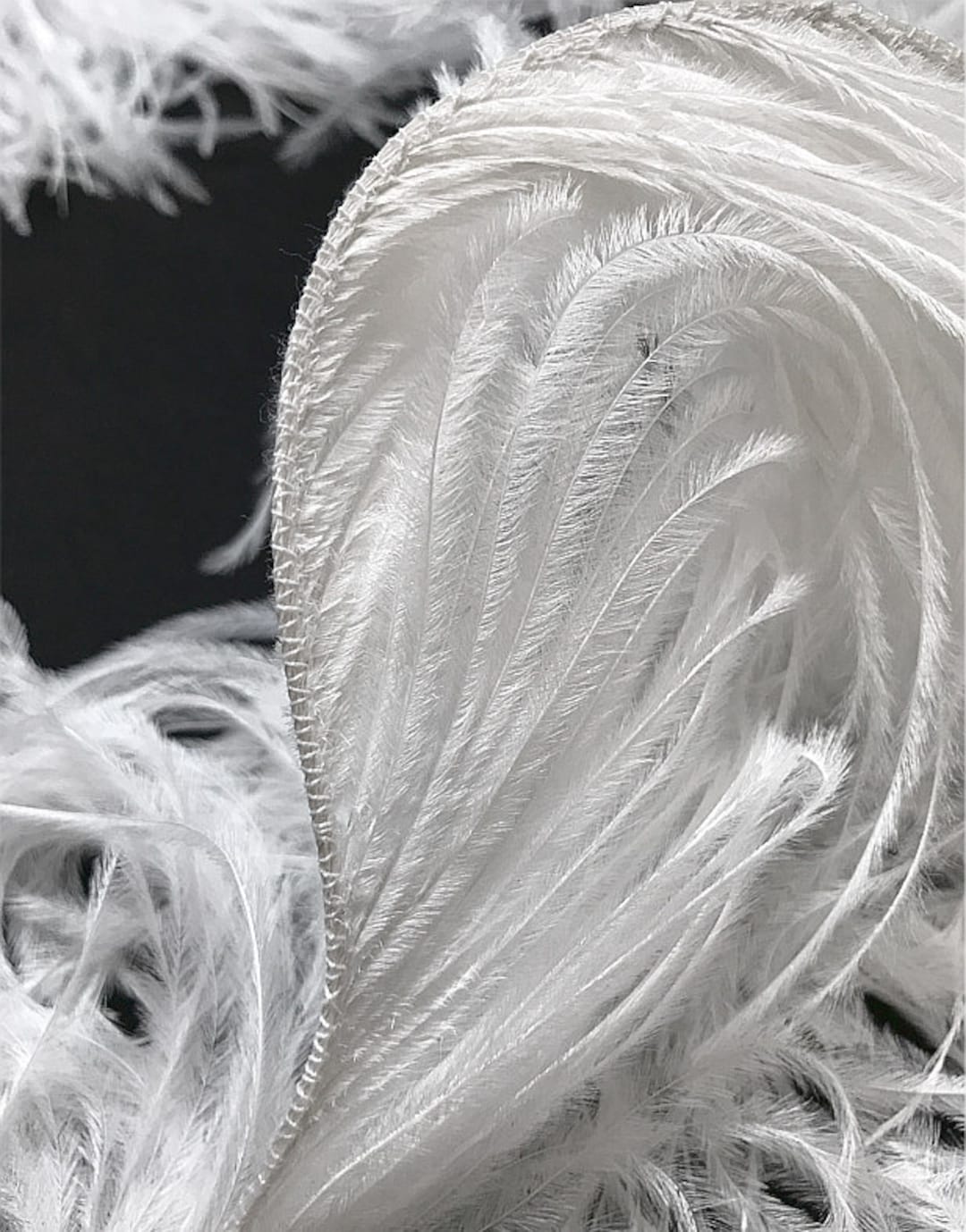 2 Ply Ostrich Feather Fringe - Superior Quality in 2 Yard Lengths. - Etsy