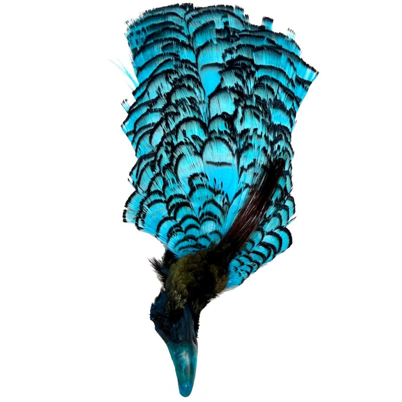 Pheasant Feather Crown - Etsy