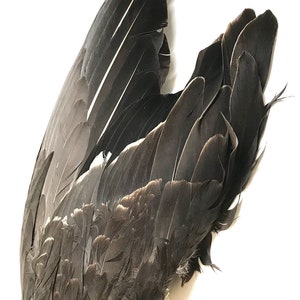 Complete Grey Goose Wings - per Pair - Etsy