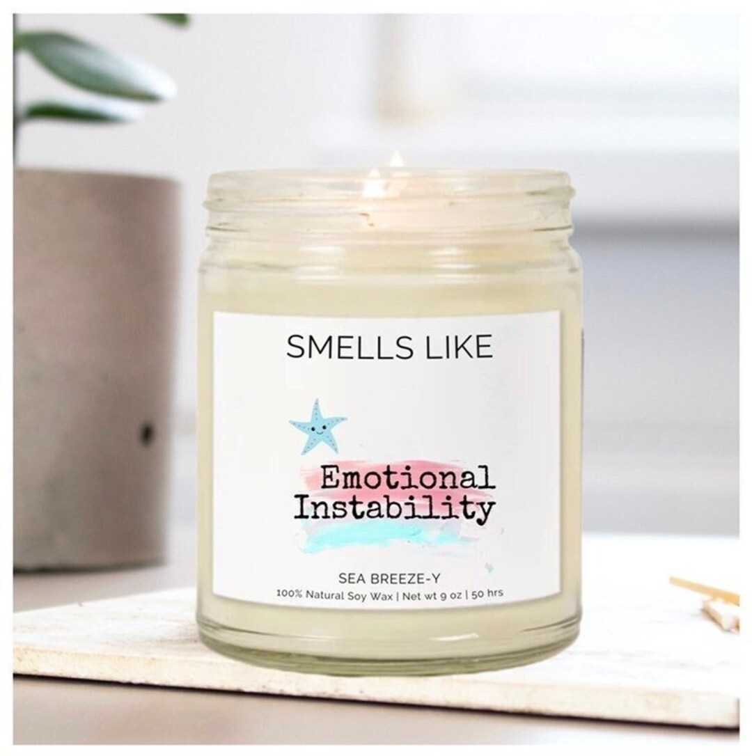SMELLS LIKE Emotional Instability Scented Candle Breakup Gift Offensive ...